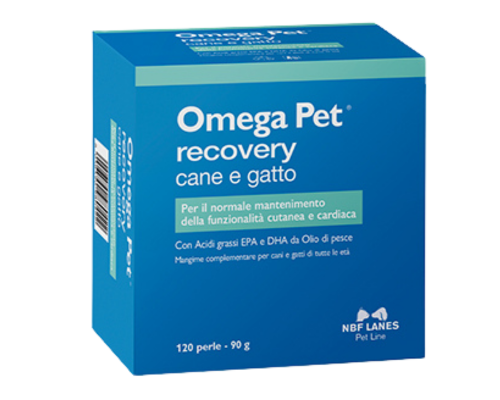 Omega Pet Recovery prawidłowe utrzymanie funkcji skóry i serca